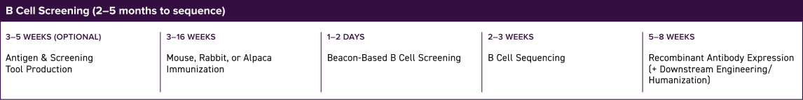 Beacon-Based Single B Cell Screening | Twist Bioscience